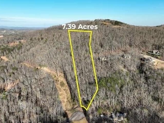 7 39AC Turner Ridge Dr, Cleveland, GA 30528