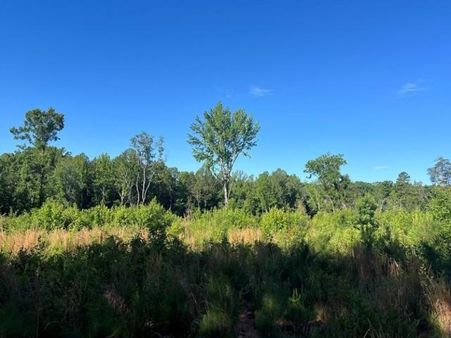 7.42 Ac Cole Ln, Scottsburg, VA 24589