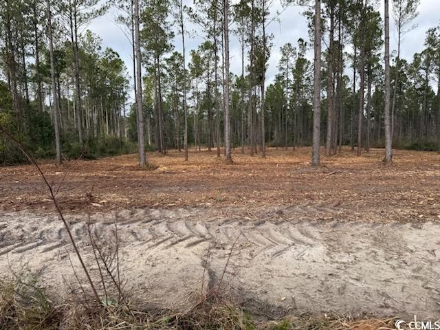 7.4 acs Cates Bay Hwy, Conway, SC 29527 | MLS #2510