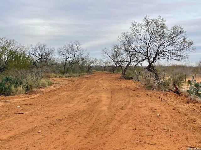7.55 Acres County Road 2701, Bigfoot, TX 78005
