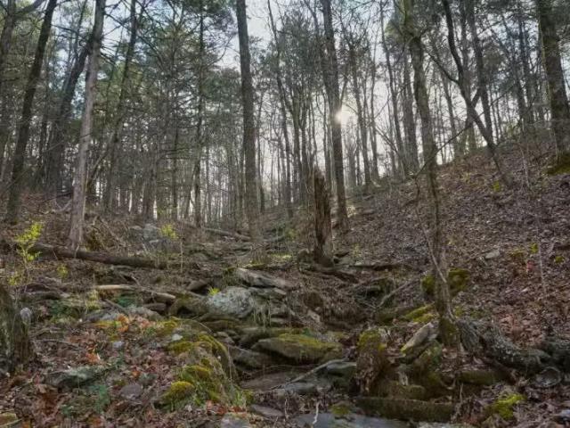 7.5 ACRES MOUNTAIN MEADOWS ROAD, SHIRLEY, AR 72153 Vacant Land.