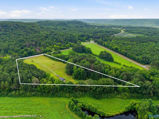 7.5 Acres Pine Burr Road