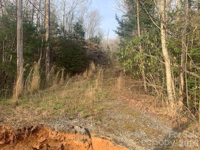 7.67 ac. holbert cove road # 7.67 ac