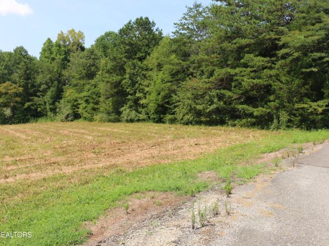 7.6 Acres Chestuee Ave