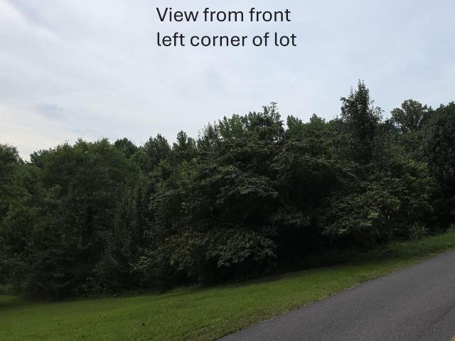 7.7+ Acres Still Meadow Road