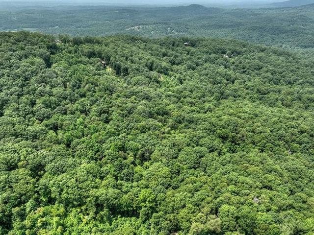 7.89 Ac Laurel Springs Rd, Mineral Bluff, GA 30559