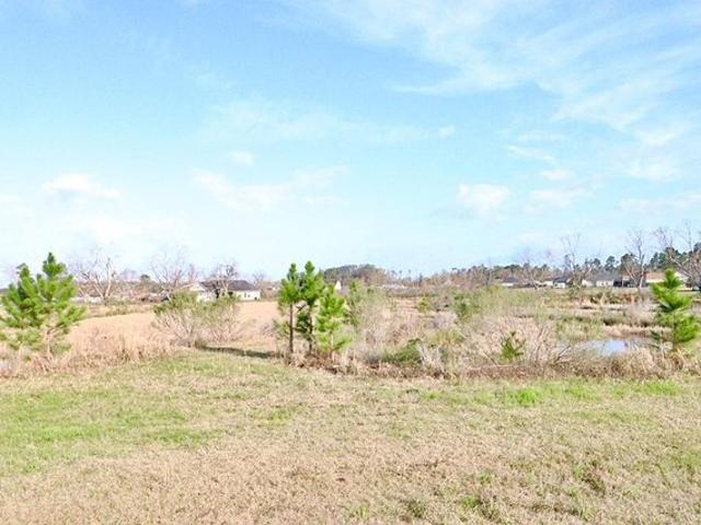 7.97 Ac Boyette Rd, Lakeland, GA 31635