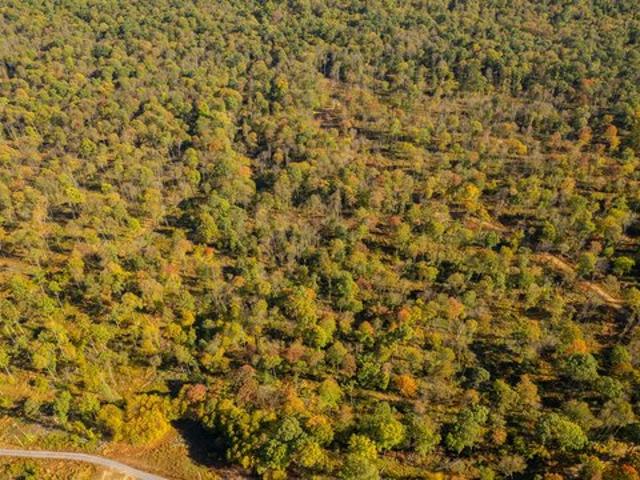 7A Gobbler Ridge Rd, Sigel, PA 15860