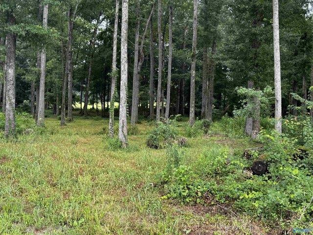 7AC Oakley Chapel Rd, New Market, AL 35761