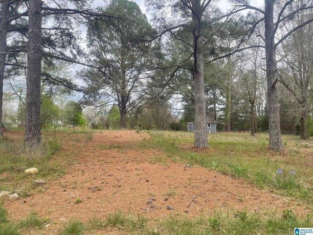 7th Way Lot 11, Carbon Hill, AL 35549