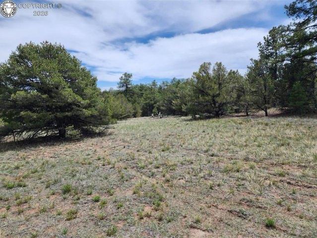 7th Trl, Cotopaxi, CO 81223