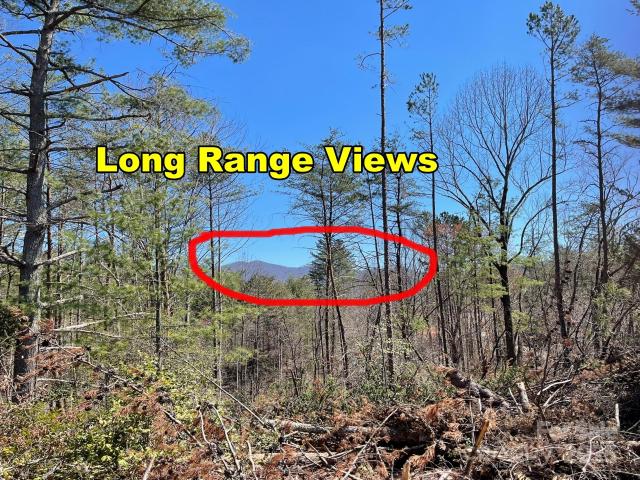 83 Union Chapel Rd, Weaverville, NC 28787 | MLS #4258