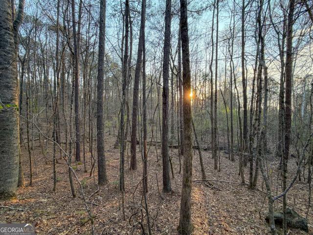 83 +/ Acres on US Hwy 27