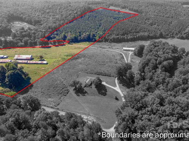 83 Acres +/ Pleasant Grove Road