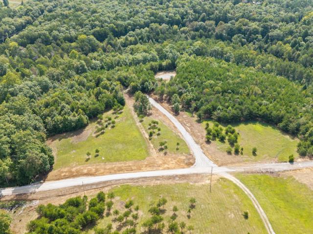 83 Creekview Ln