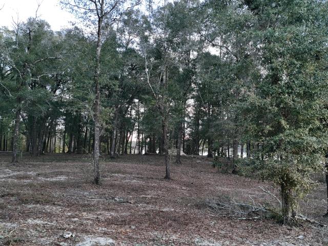 83 Highway 83, DeFuniak Springs, FL 32433 | MLS #991862