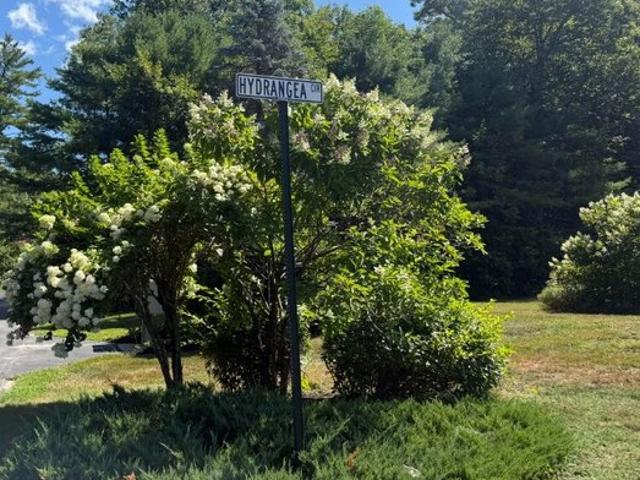 83 Hydrangea Cir Unit 11, Naples, ME 04055