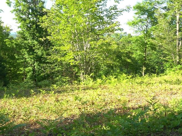 83 lot 13 83 Rd, Bayfield, WI 54814 | MLS #7070