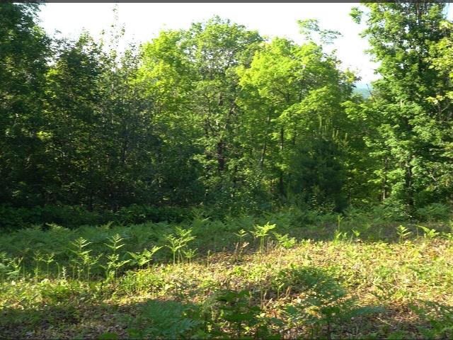 83 Lot 13 Ashwabay Road