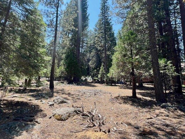 83 Paiute Trl, Graeagle, CA 96103