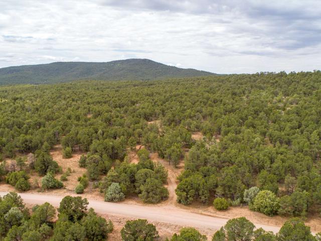 83 Pecos Barillas Road
