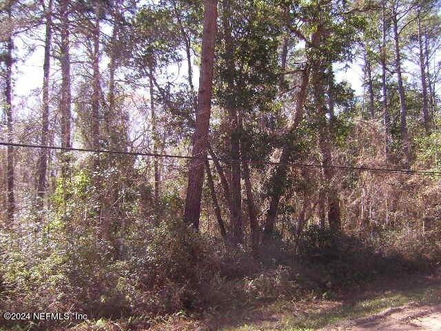 83 Sorrel St, Middleburg, FL 32068