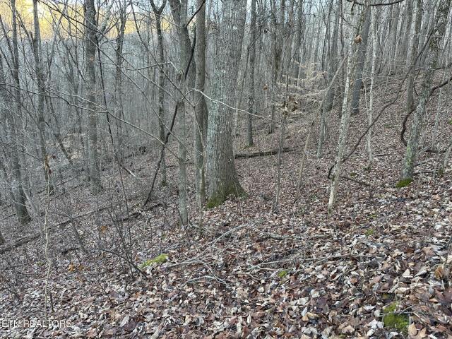 83 Stone Rdg Rd, Pikeville, TN 37367 | MLS #1326