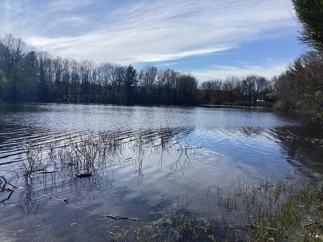 8005 W Juniper Beach Rd, Mears, MI 49436