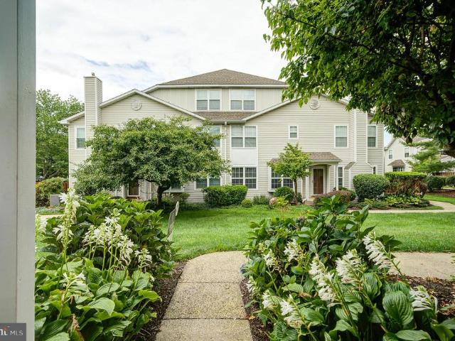 8006 Spruce Mill