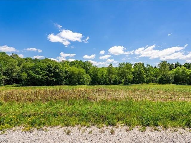 8008 Reef Rd NE, Mechanicstown, OH 44651