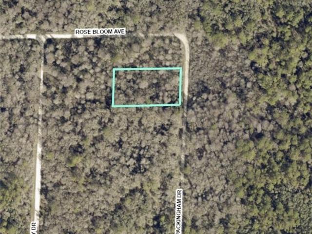 8009 Packingham St, Webster, FL 33597