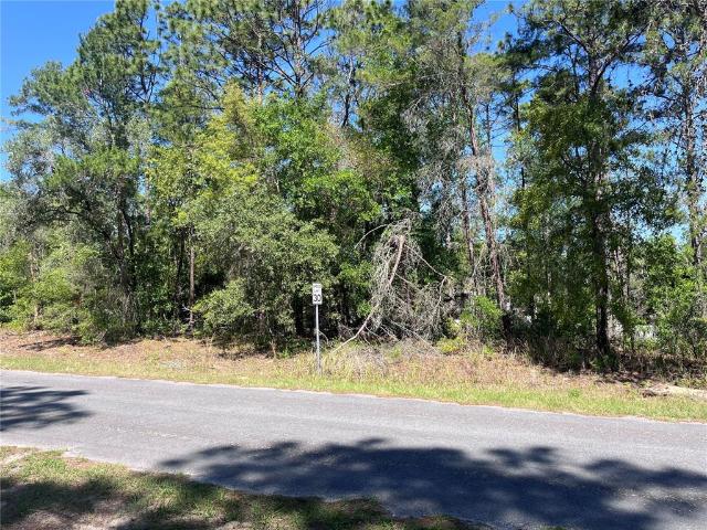 8000 N Pocono Dr, Citrus Springs, FL 34434 | MLS #TB8499 | Compass