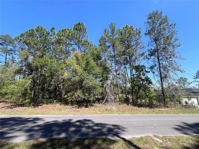 8000 N Pocono Dr, Citrus Springs, FL 34434