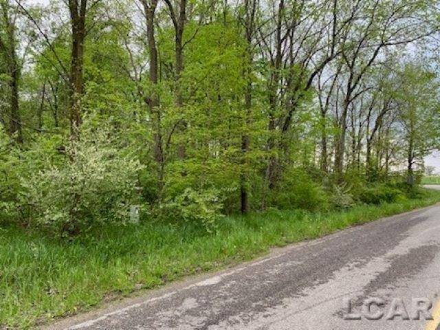 8000 Blk Stephenson Rd Lot 10, Onsted, MI 49265