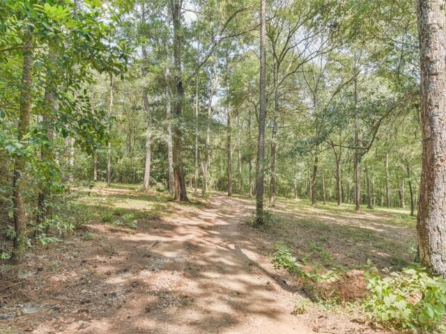 8001 Fm 224 Road, Coldspring, US, TX