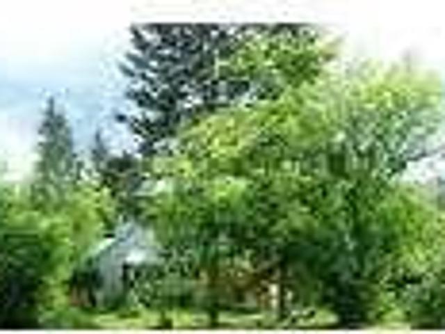 $800 / 3br 1569ftÂ² Three Bedroom House For Rent