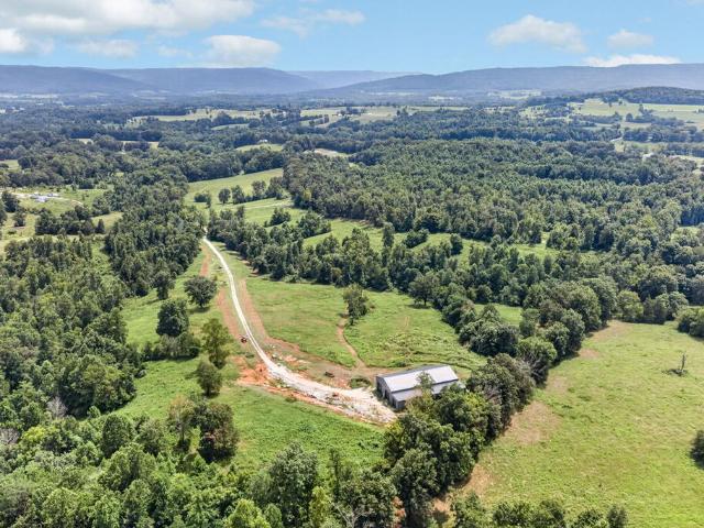 800 Dogwalk rd