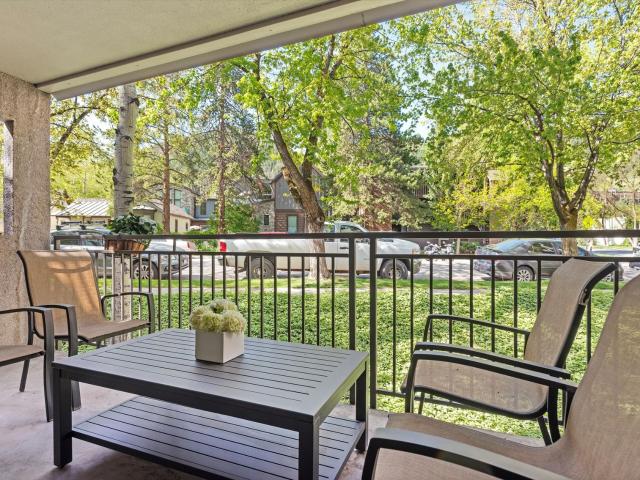 800 East Hopkins Avenue A 3, Aspen, US, CO