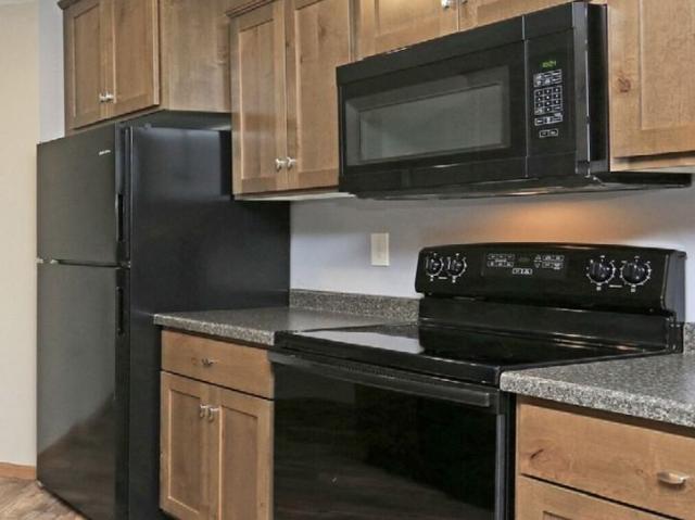 800 Main Street N. 2 Bedroom Apartment for Rent at 800 Main St N, Sauk Centre, MN 56378