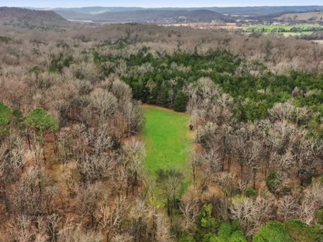 800 Nelson Rd, Pulaski, TN 38478