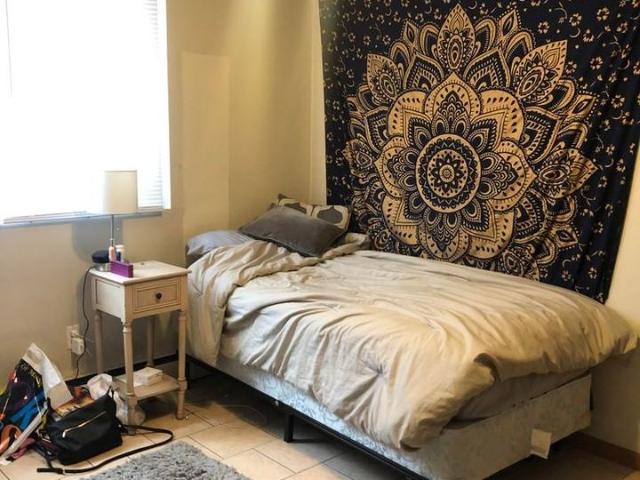 800 UNIV 1 Bedroom Apartment for Rent at 800 University Ave Se, Minneapolis, MN 55414 Marcy Holmes
