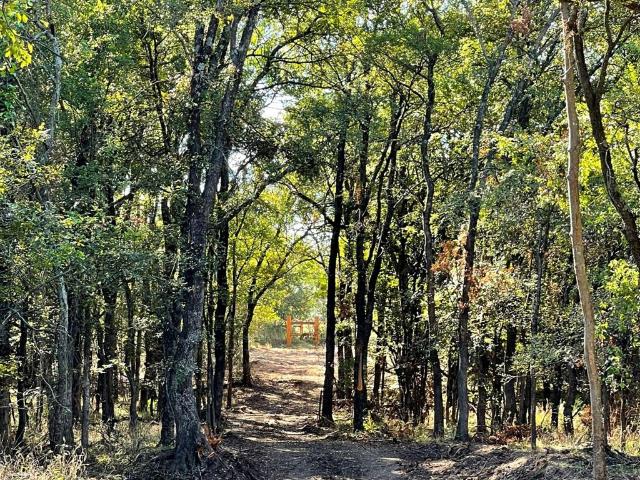 800 Vest Ln, Pilot Point, TX 76258 | MLS #21325