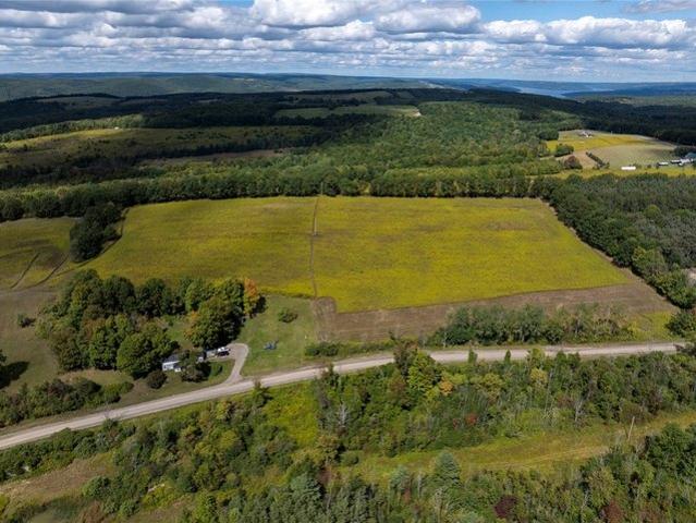8015 Peacock Rd, Bath, NY 14810