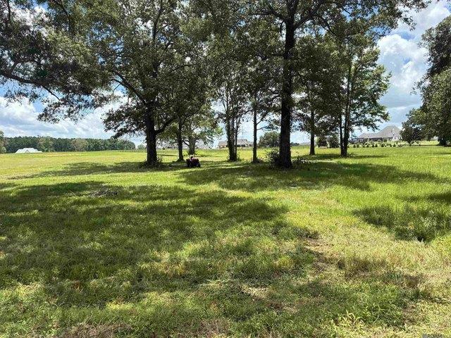80106 Rosemary Ln, Saint Francisville, LA 70775