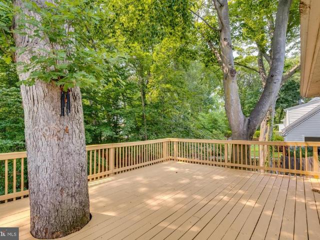 8010 Candlewood Drive