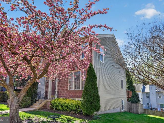 8010 Readington Court