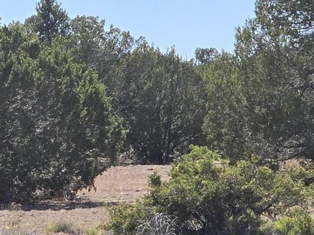 8012 Daisy Dr, Williams, AZ 86046