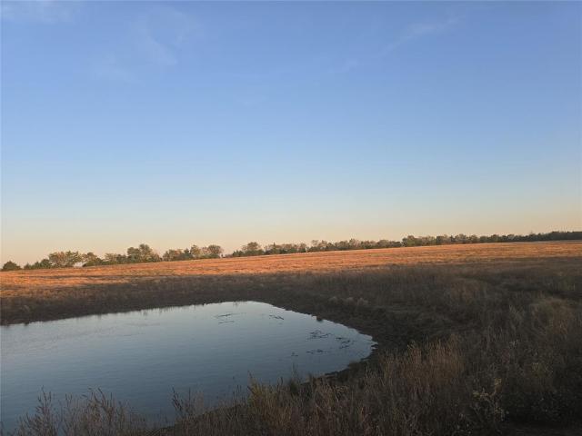 801 County Road 36010, Honey Grove, TX 75446 | MLS #21126