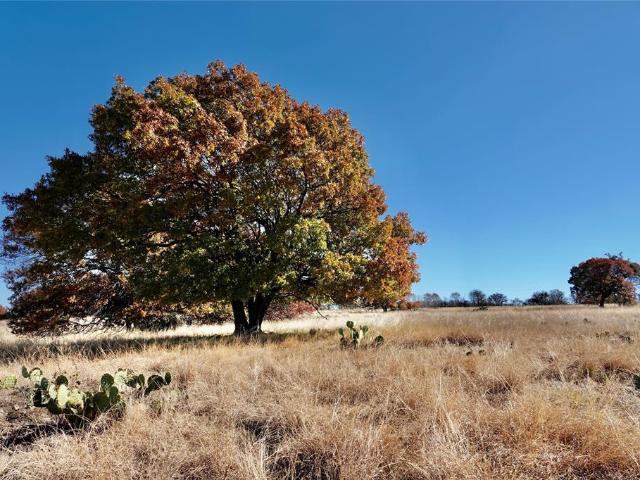 801 Highway 16, Goldthwaite, TX 76844 | MLS #21134