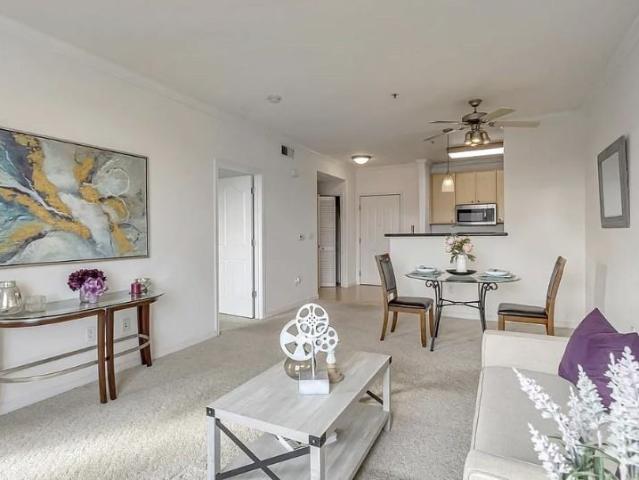 801 S Winchester Blvd 1 Bedroom Apartment for Rent at 801 Winchester Boulevard, San Jose, CA 95117 Lynhaven